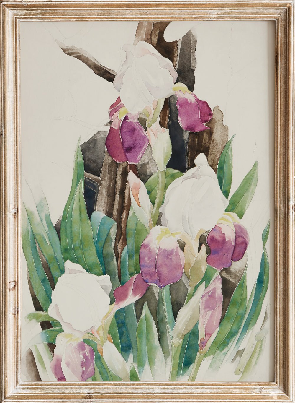 iris flower print