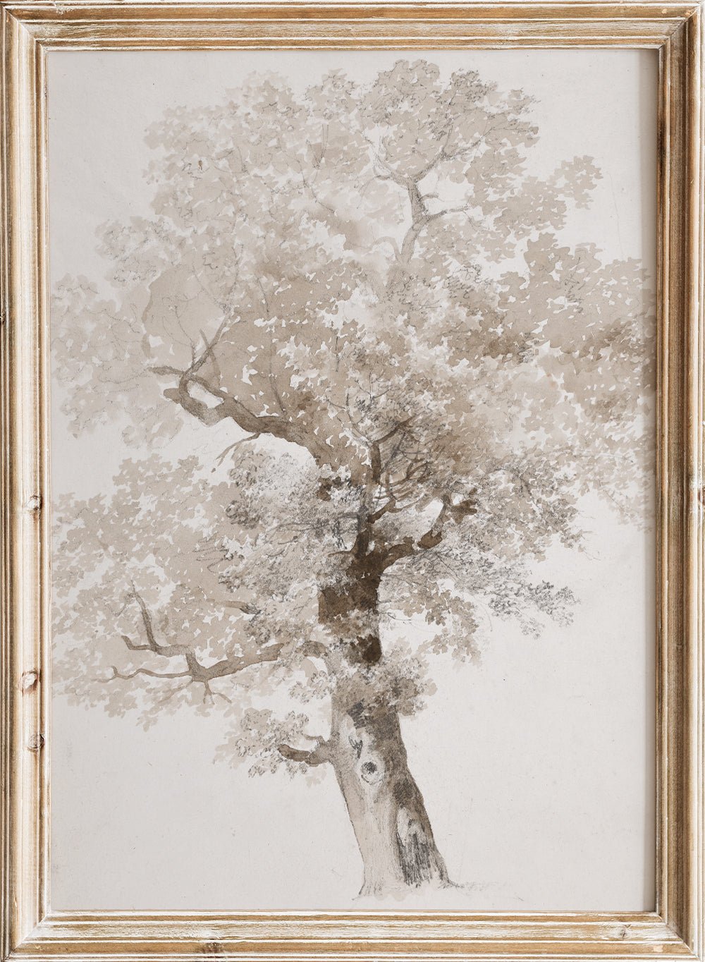 Vintage Tree Sketch Watercolor Painting Wall Art Print | Jacques ...