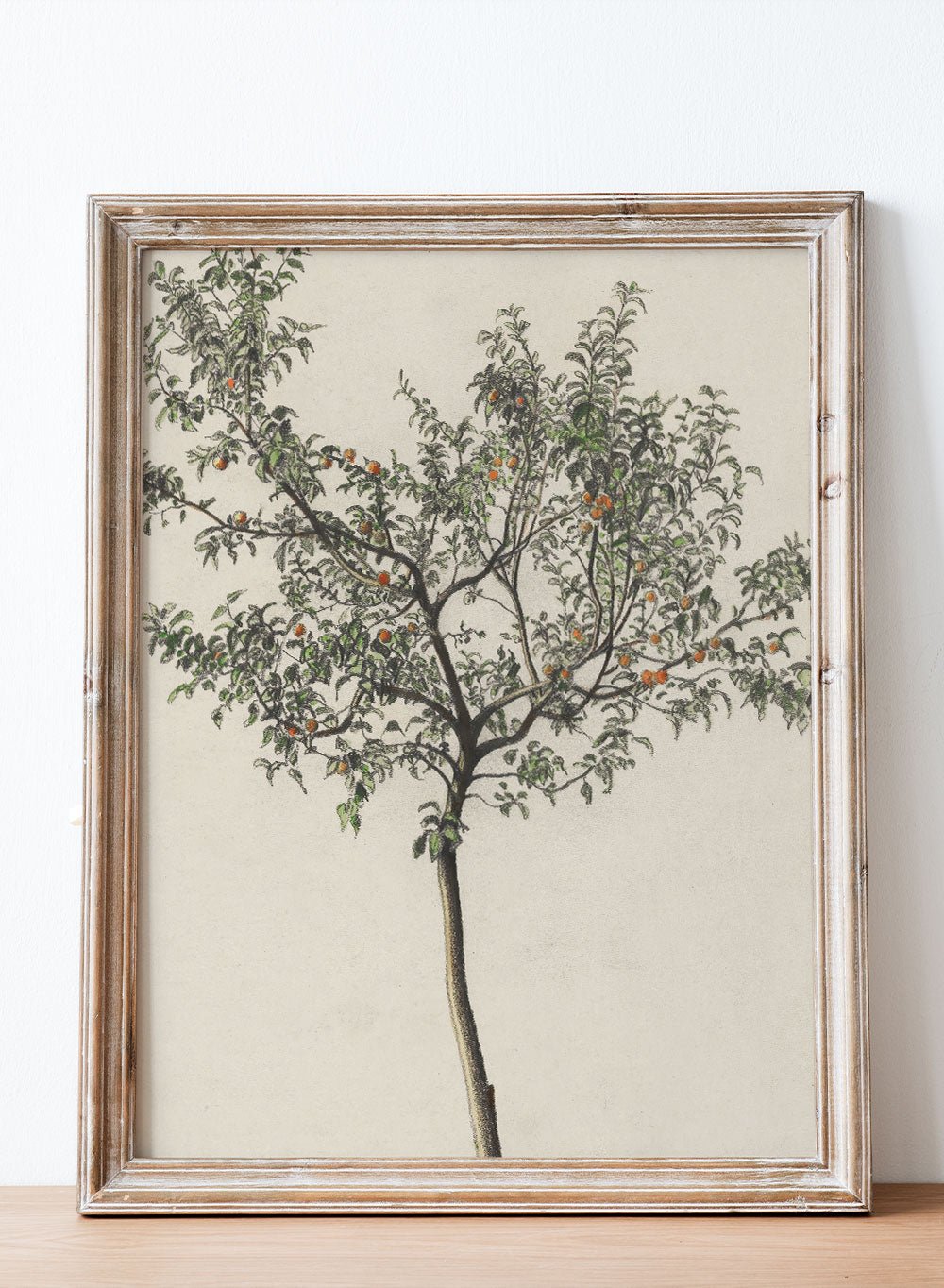 framed fruit trees