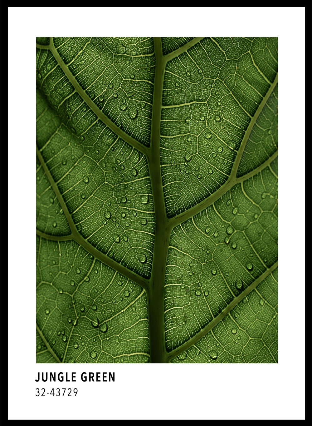 Jungle Green Pantone Color Card Inspired Art Print | Texture ...